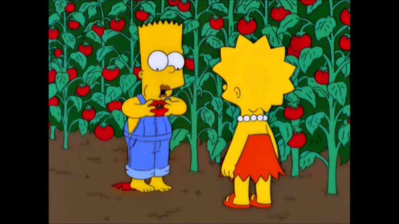 Simpson: la storia di Bob Baur, l'uomo che ha ricreato la pianta di Tomacco